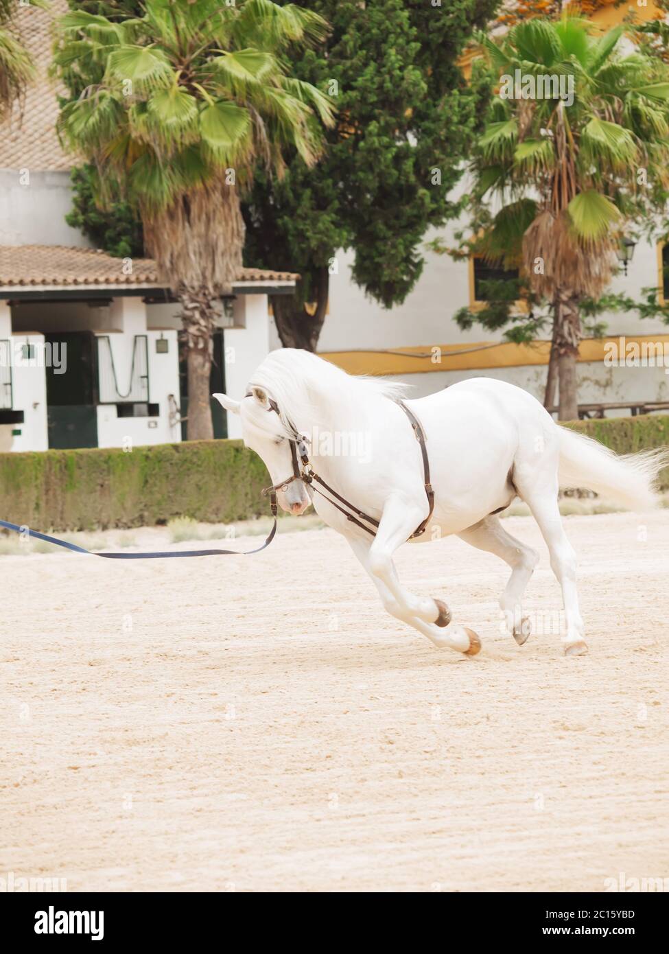 Longe hi-res stock photography and images - Alamy