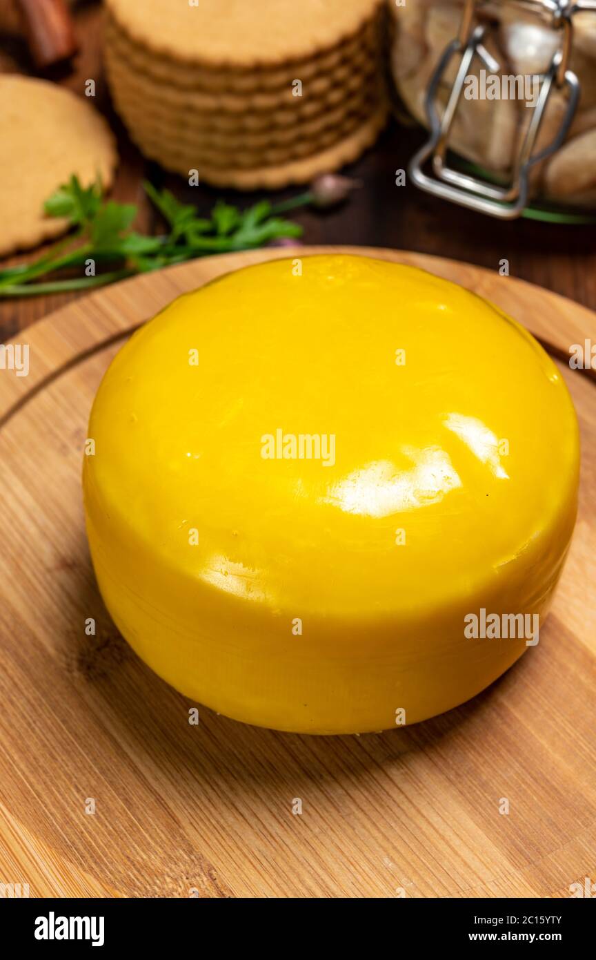 Dutch baby gouda cheese in yellow wax close up Stock Photo - Alamy