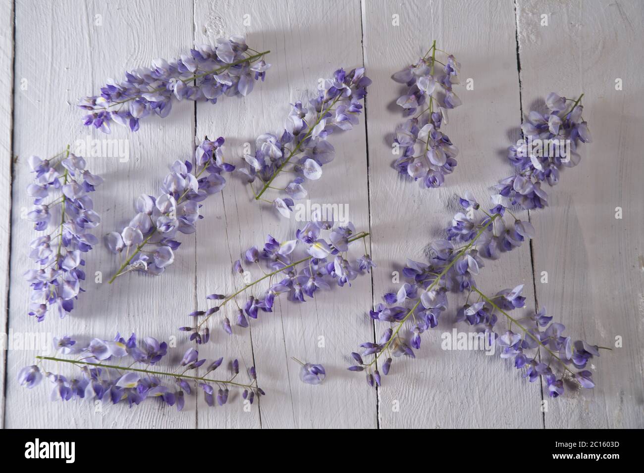 The colors of wisteria Stock Photo - Alamy