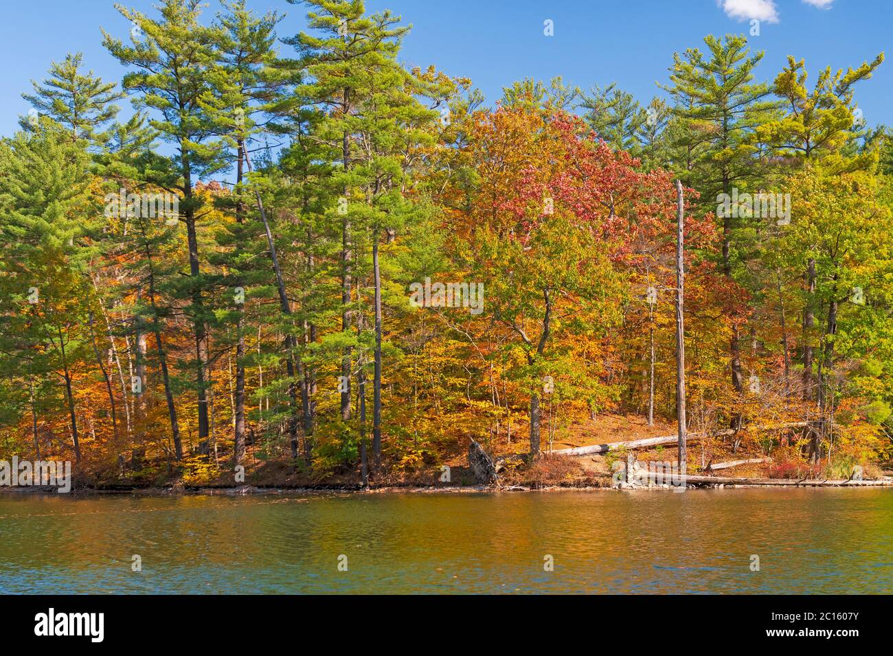 Chenango lake hi-res stock photography and images - Alamy