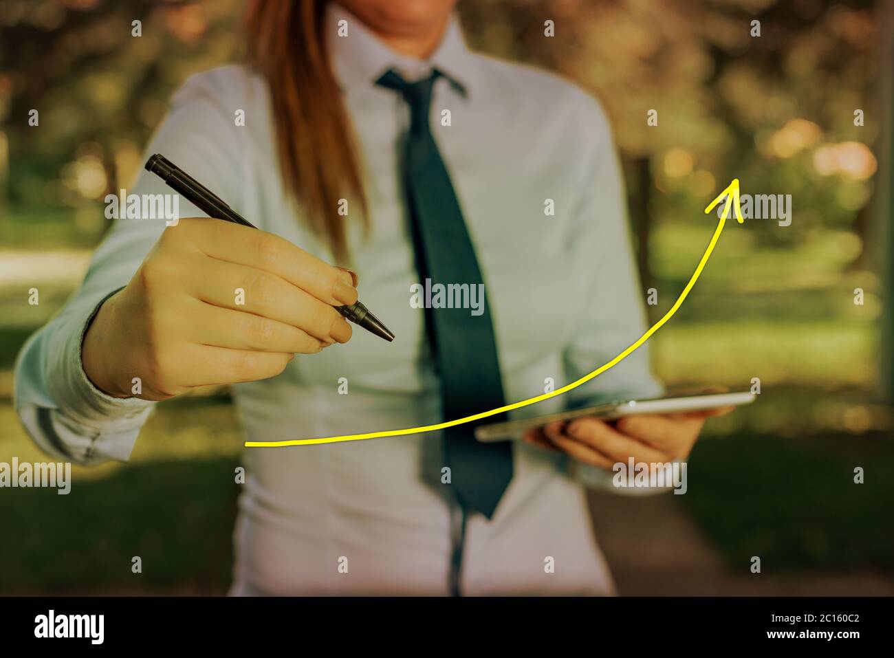 Digital Arrowhead Curve Rising Upward Denoting Growth Development ...