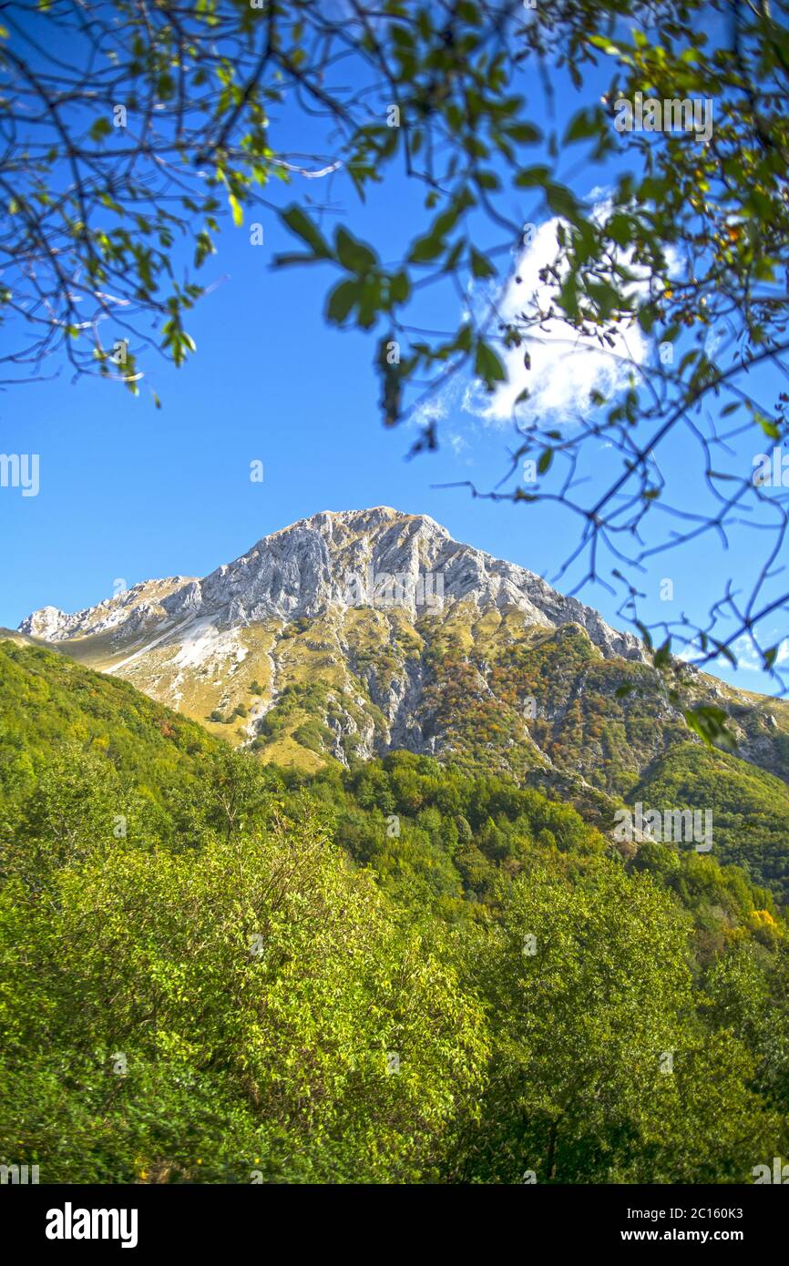 Pania hi-res stock photography and images - Alamy