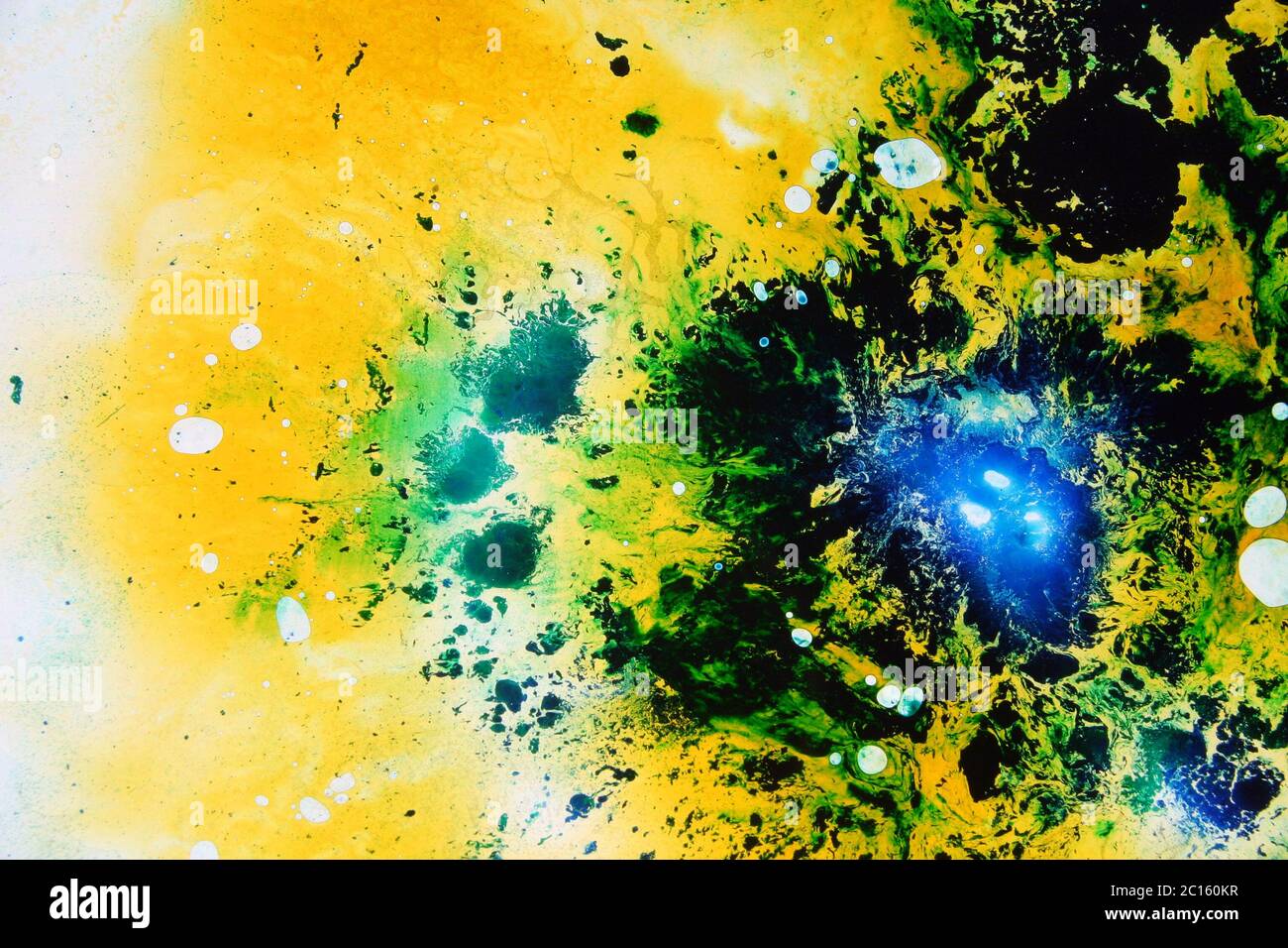 Colored liquids mixed together in fluid creating colorful abstract ...