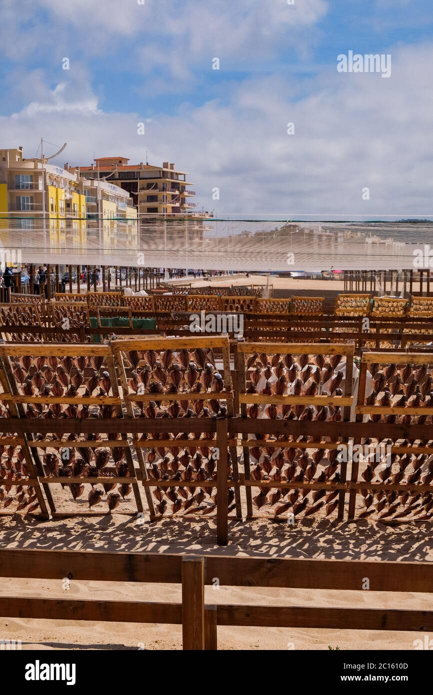 Traditional Wooden Racks with Dry Fish in the Sun at the Beach - Nazaré ...