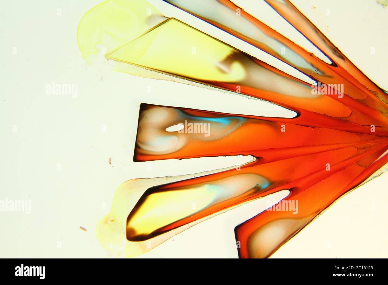 Colored liquids mixed together in fluid creating colorful abstract ...