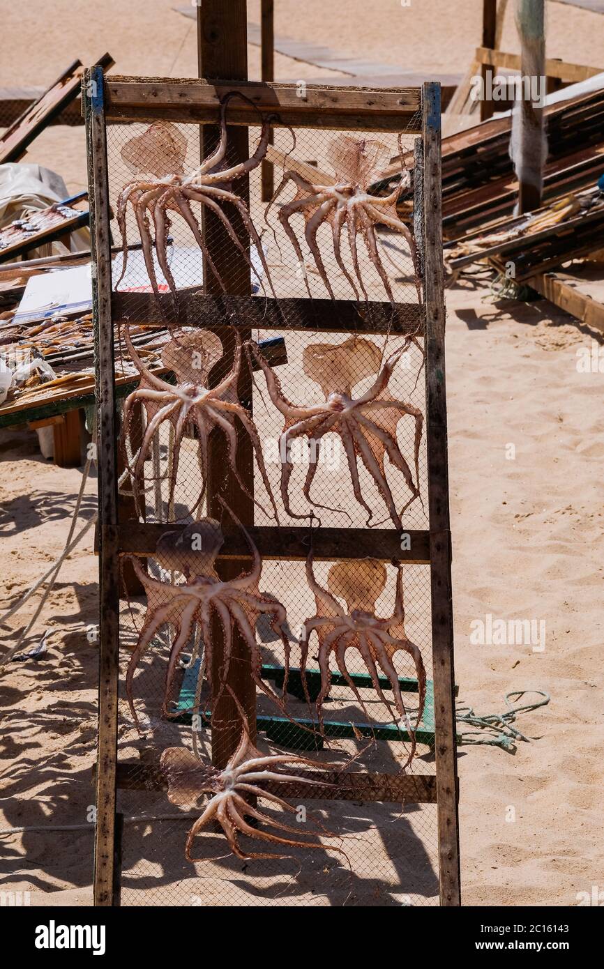 Traditional Wooden Racks with Dry Squids in the Sun at the Beach ...