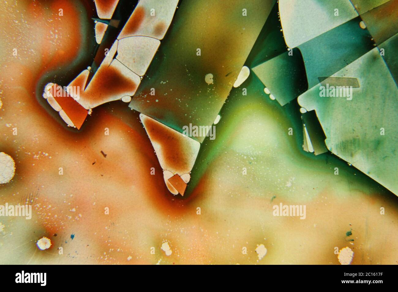 Colored liquids mixed together in fluid creating colorful abstract ...