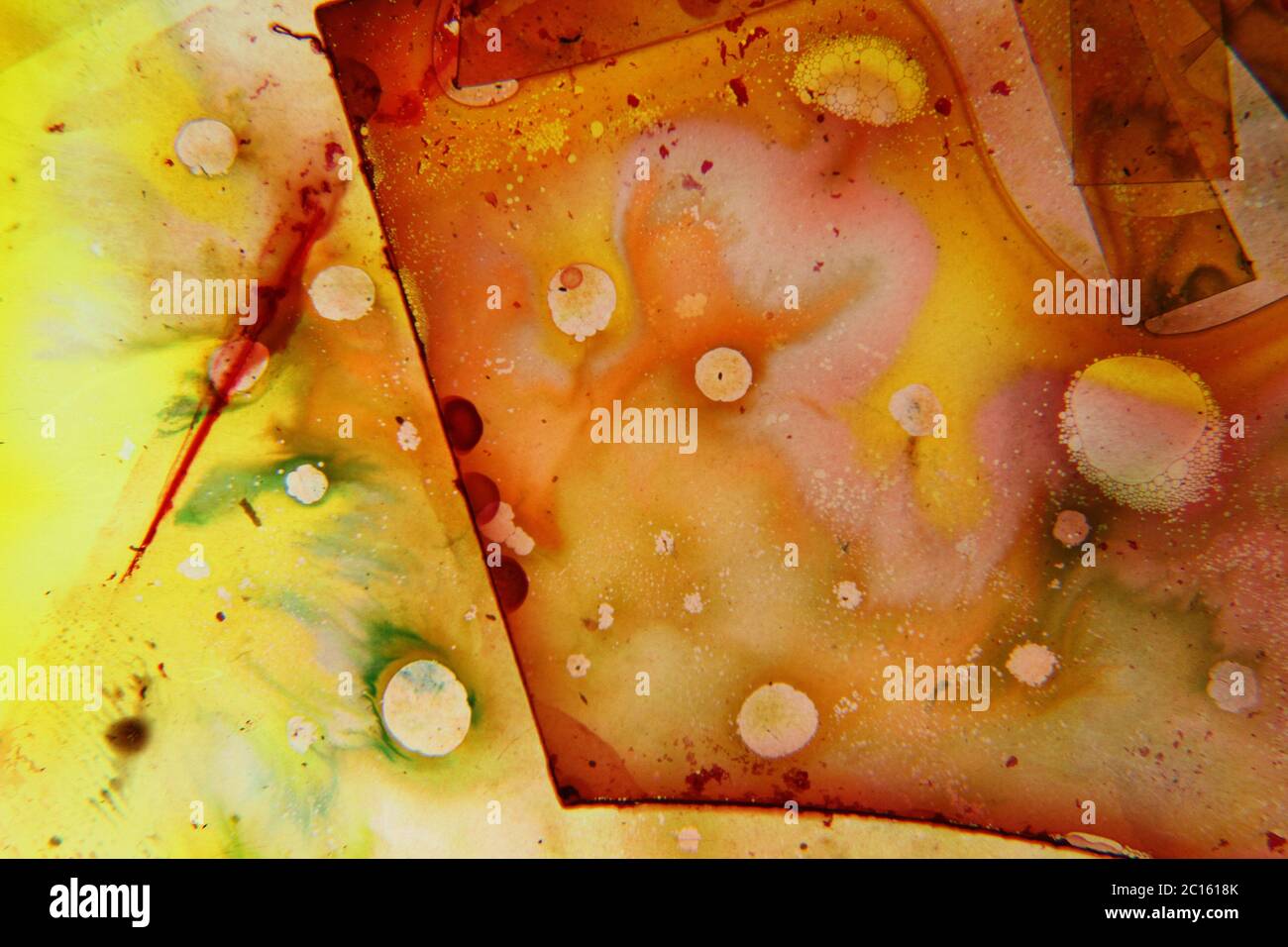 Colored liquids mixed together in fluid creating colorful abstract ...