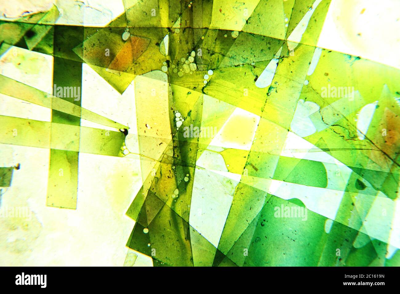 Colored liquids mixed together in fluid creating colorful abstract ...
