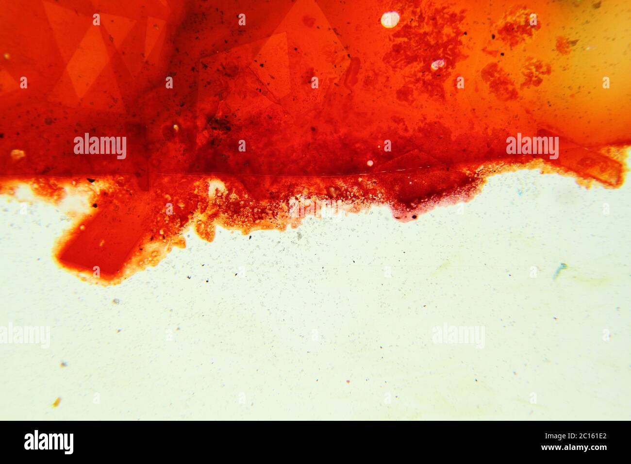 Colored liquids mixed together in fluid creating colorful abstract ...