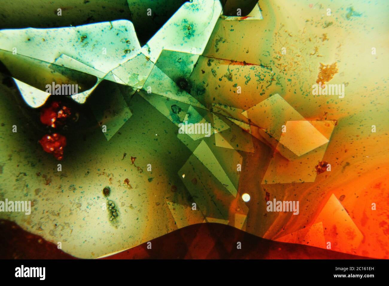 Colored liquids mixed together in fluid creating colorful abstract ...