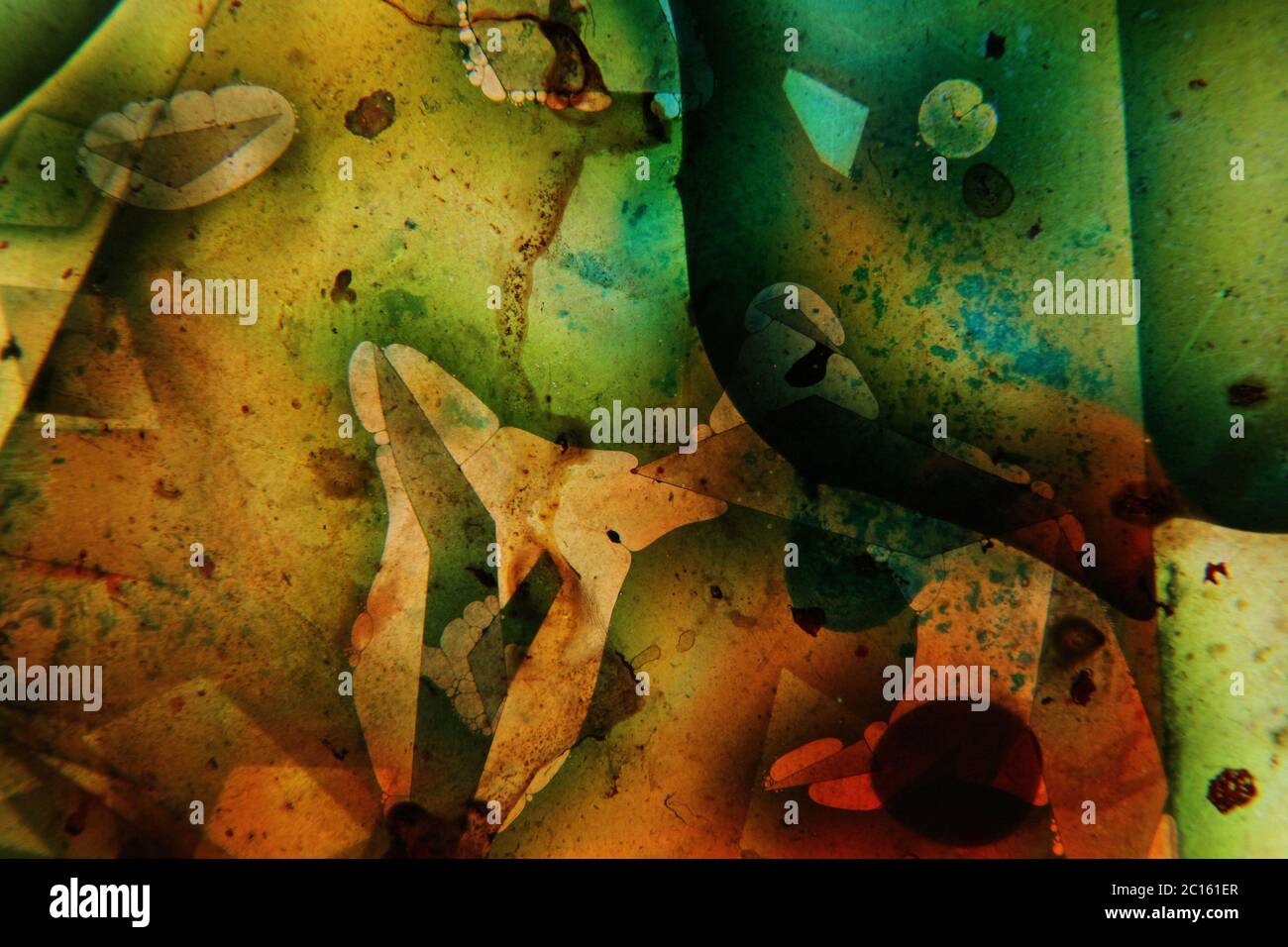 Colored liquids mixed together in fluid creating colorful abstract ...