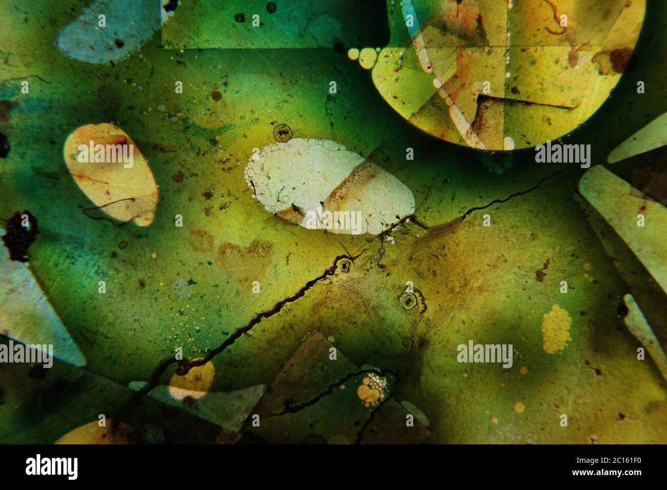 Colored liquids mixed together in fluid creating colorful abstract ...