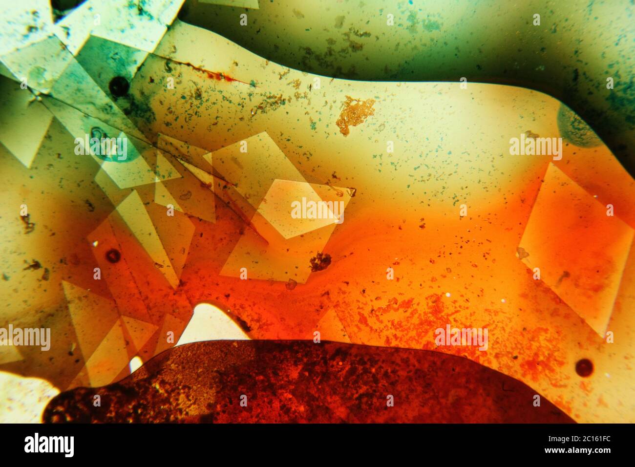 Colored liquids mixed together in fluid creating colorful abstract ...