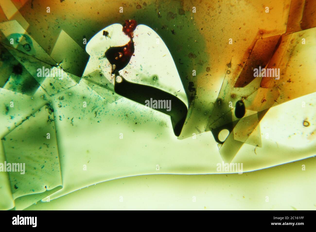 Colored liquids mixed together in fluid creating colorful abstract ...