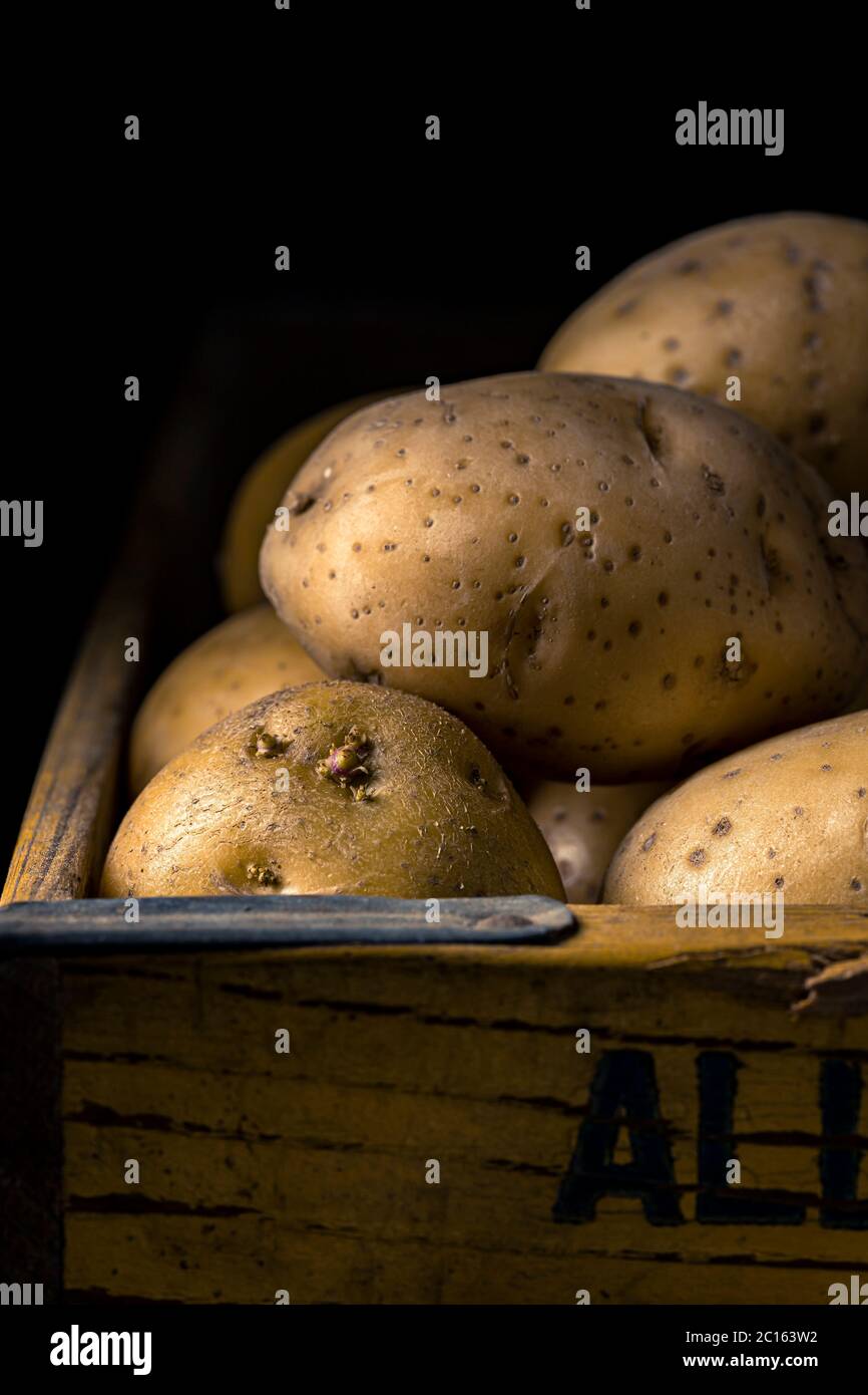 Gold potatoes hi-res stock photography and images - Alamy