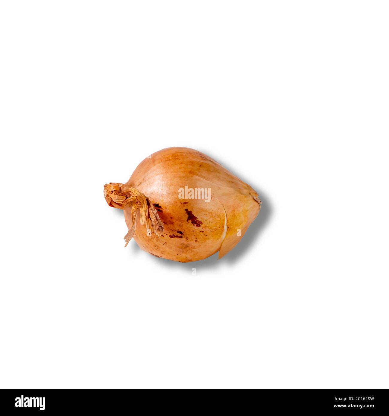 Yellow boiler onion. Isolated on white background Stock Photo - Alamy