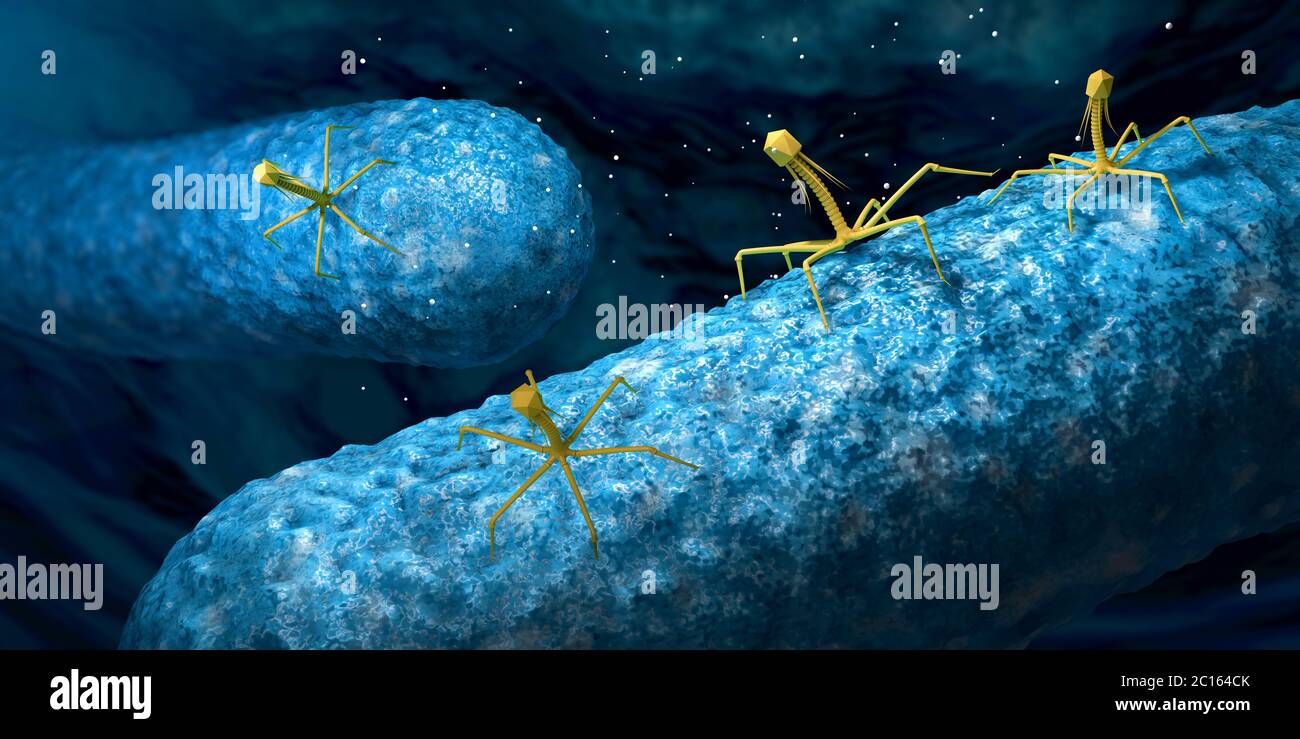 Bacteriophage hi-res stock photography and images - Alamy