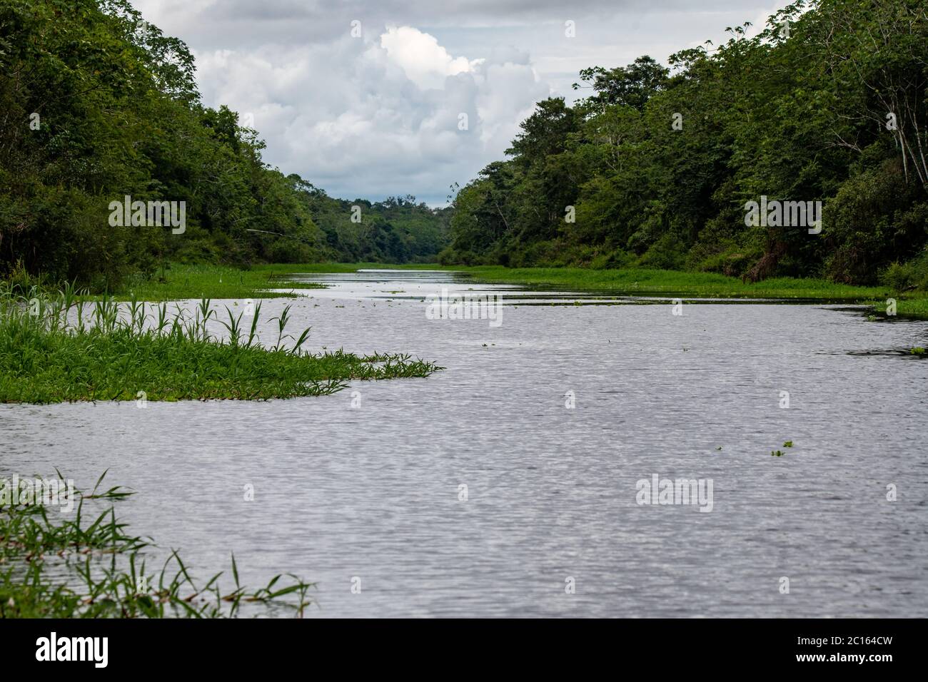 Amazonas basin hi-res stock photography and images - Alamy