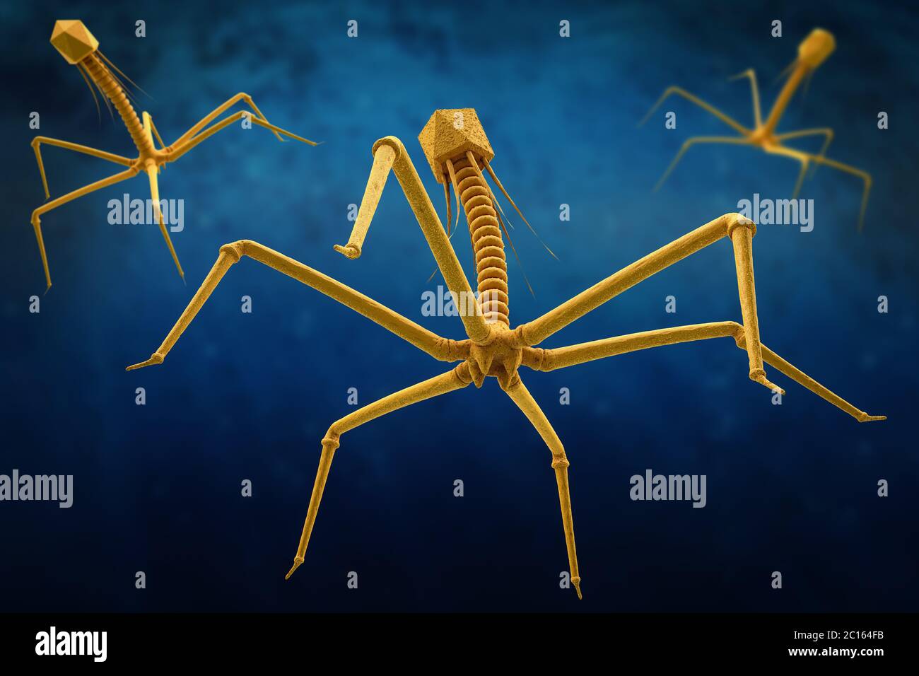 Bacteriophage attacking a cell hi-res stock photography and images - Alamy