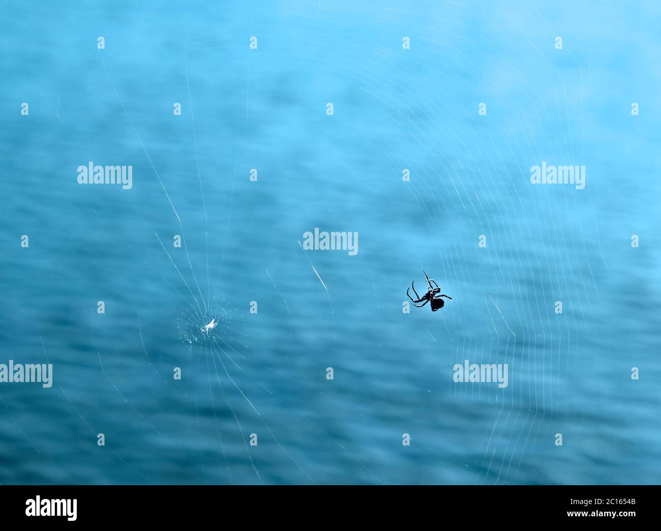 Cobweb empty hi-res stock photography and images - Alamy