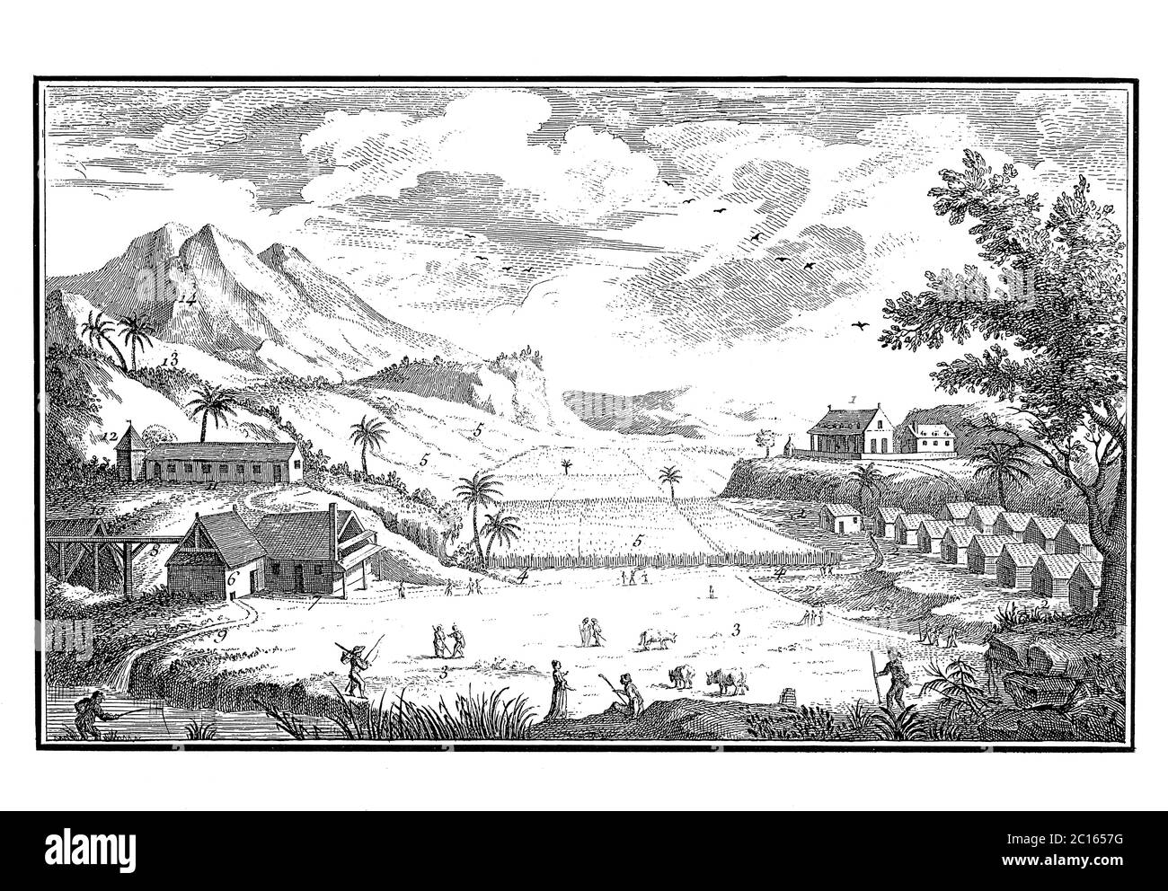 Slave farm 18th century Cut Out Stock Images & Pictures - Alamy