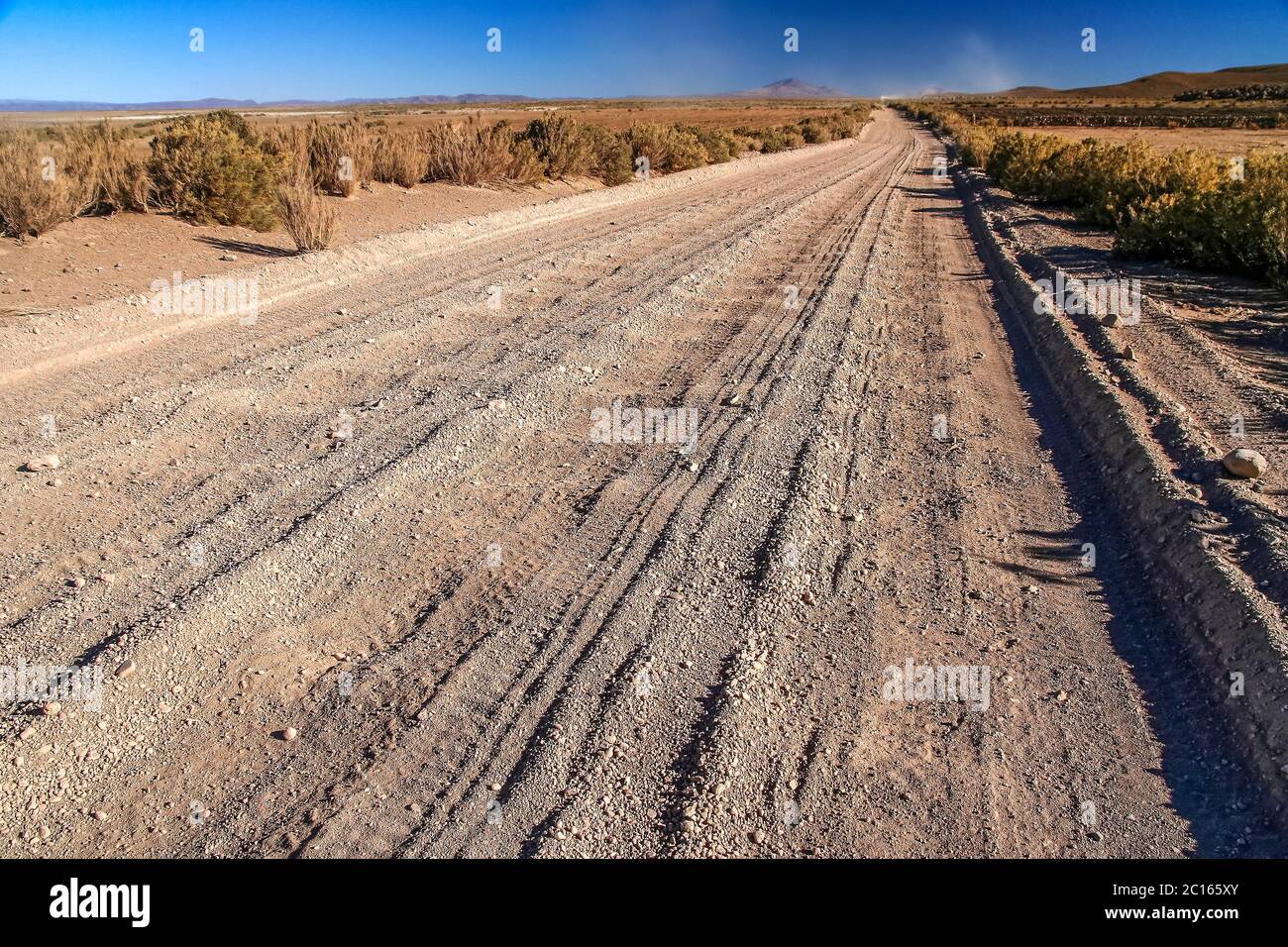 Corrugated road in Altiplano Stock Photo - Alamy