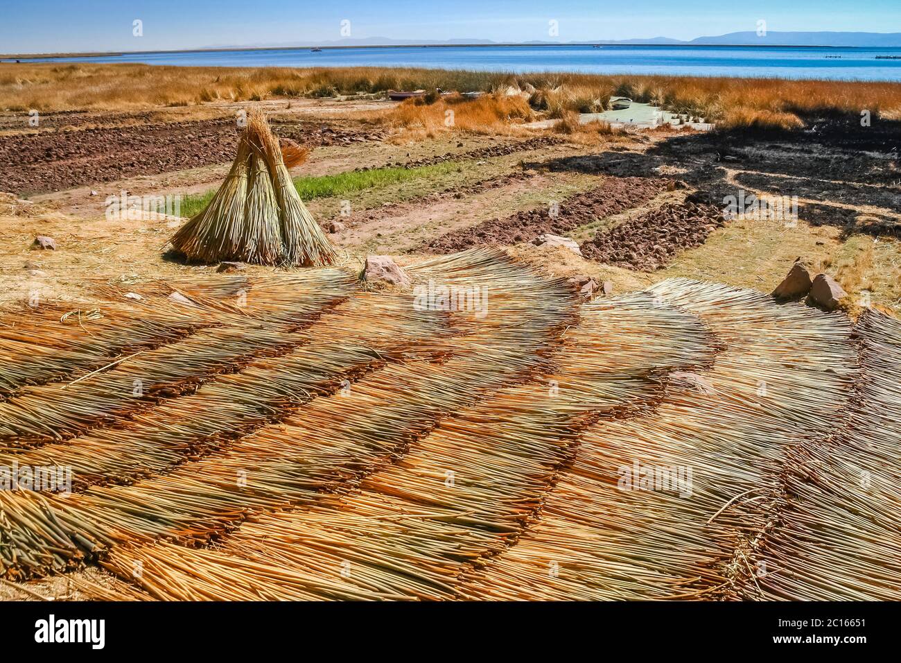 Hay stack at harvest Stock Photo - Alamy