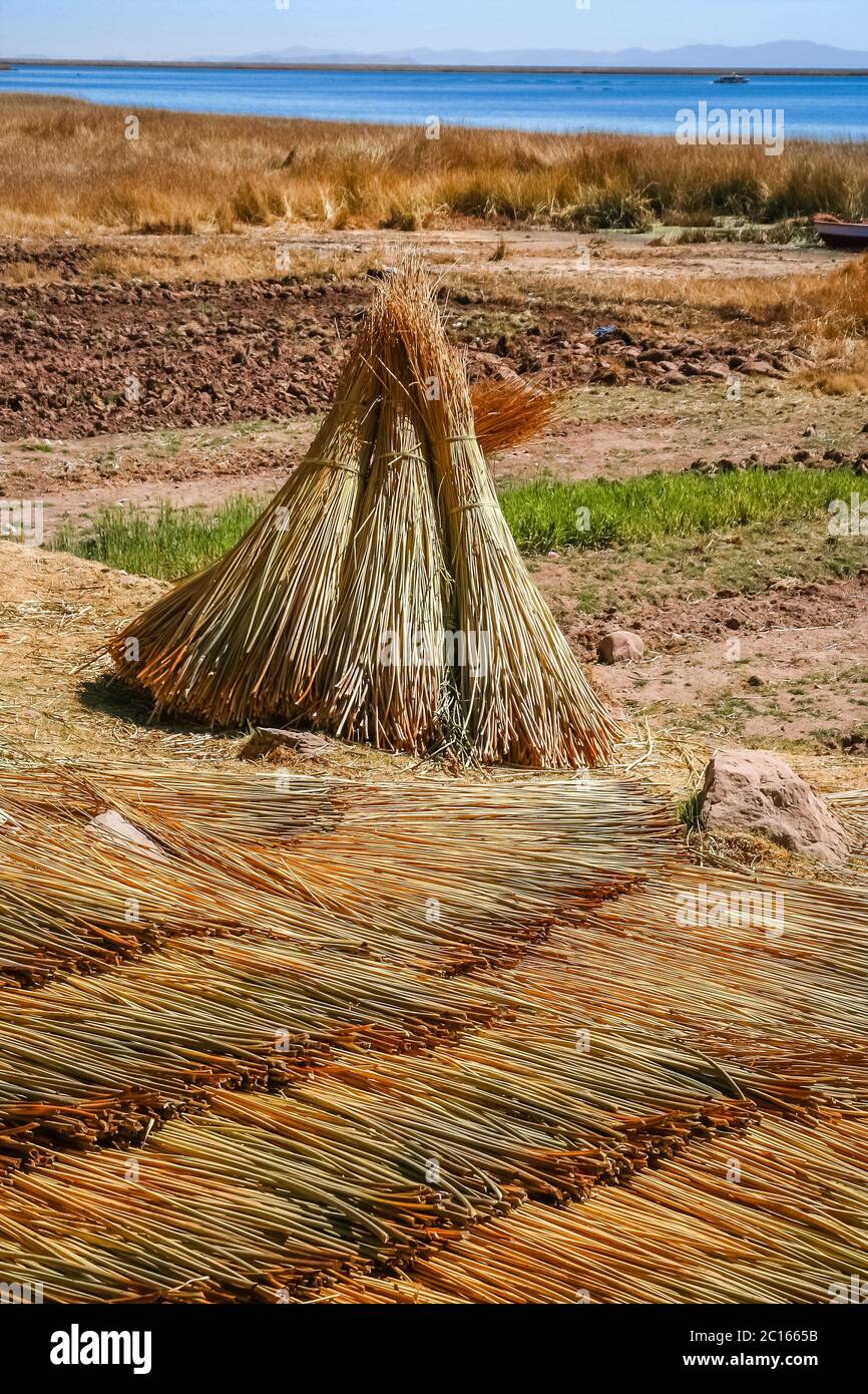 Hay stack at harvest Stock Photo - Alamy