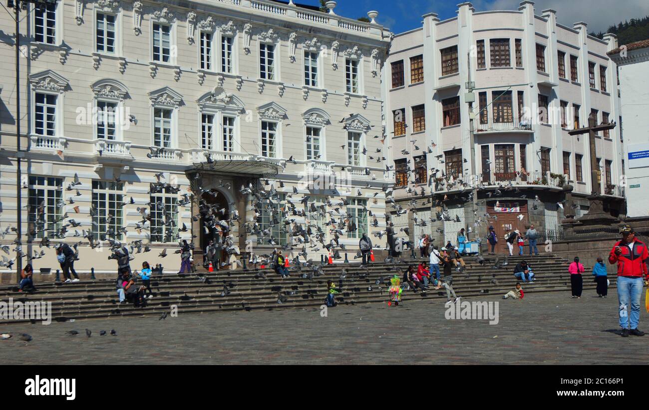 Quito, Pichincha / Ecuador - September 16 2018: Group of pigeons flying ...