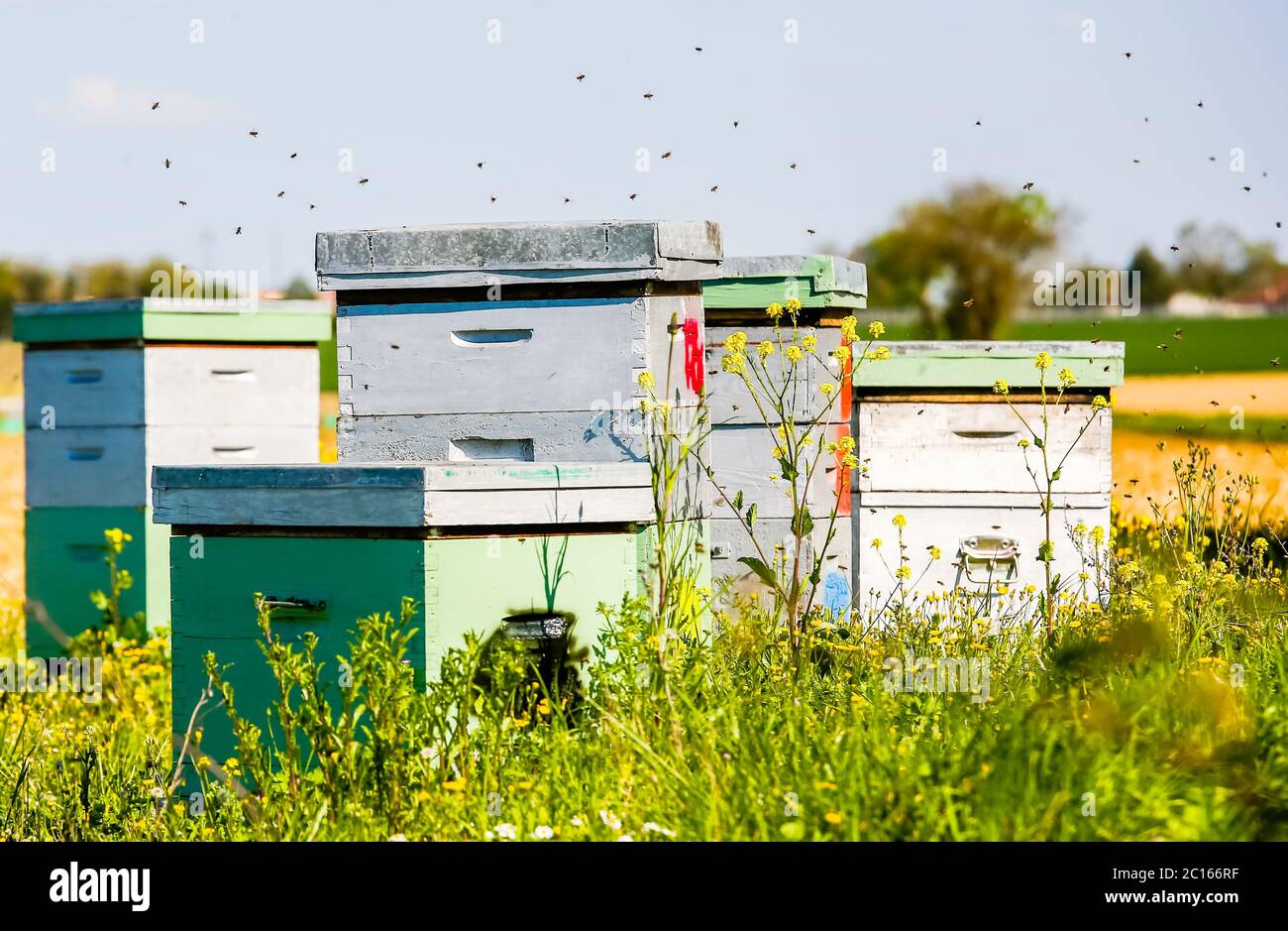 Group of beehives hi-res stock photography and images - Alamy