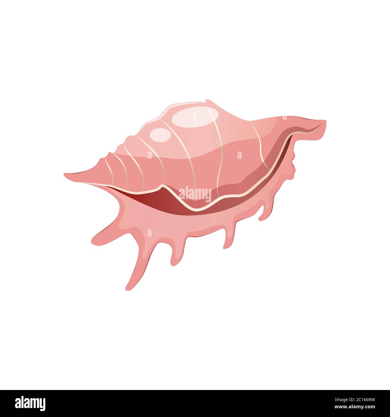 Pink golden sea shell stock vector illustration isolated on white ...