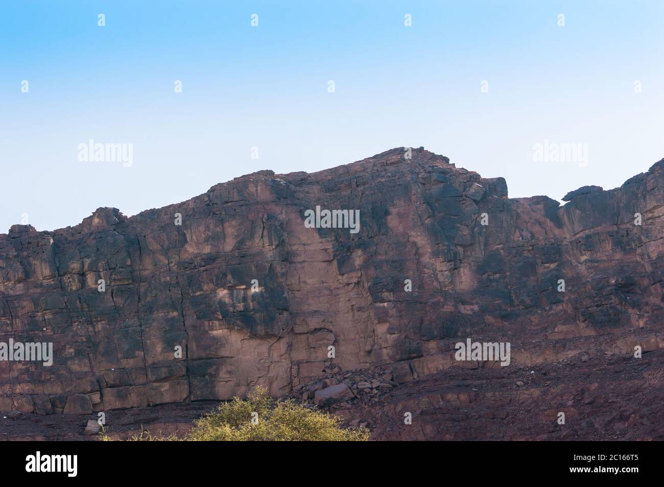 Display of various type of fish and deep sea life Stock Photo - Alamy