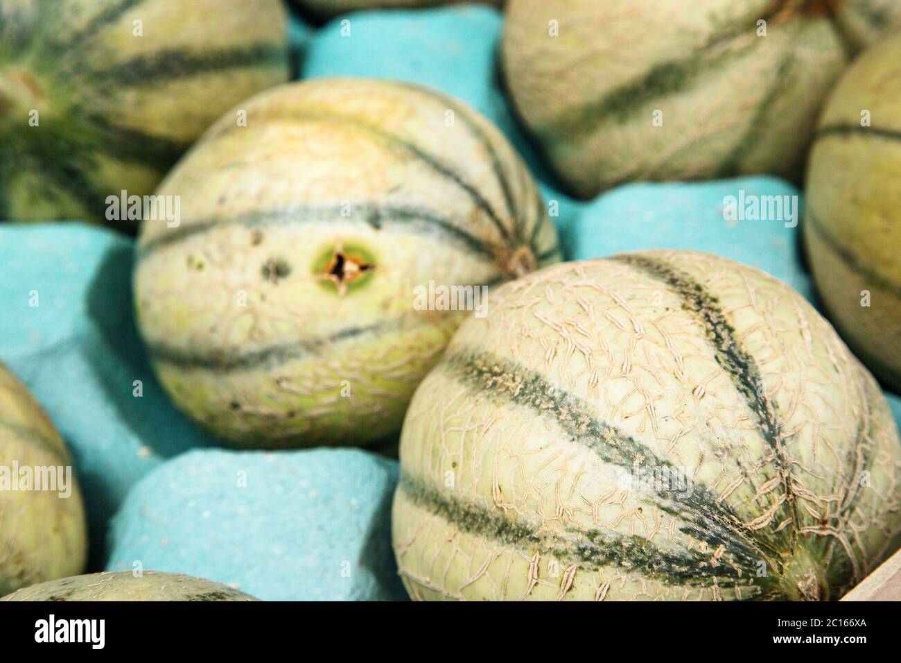 Melon charentais hi-res stock photography and images - Alamy