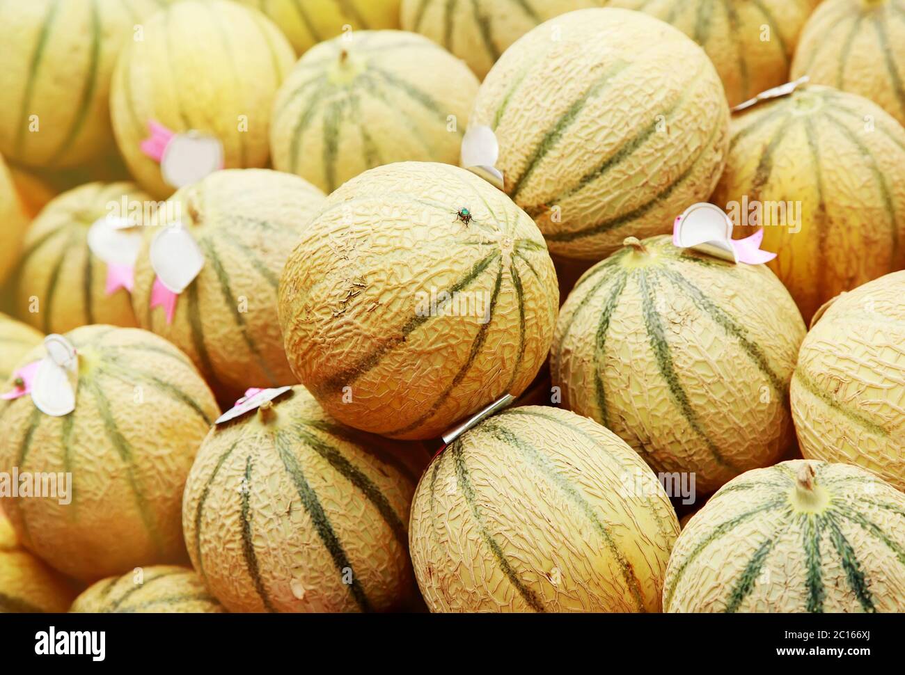 Melon charentais hi-res stock photography and images - Alamy