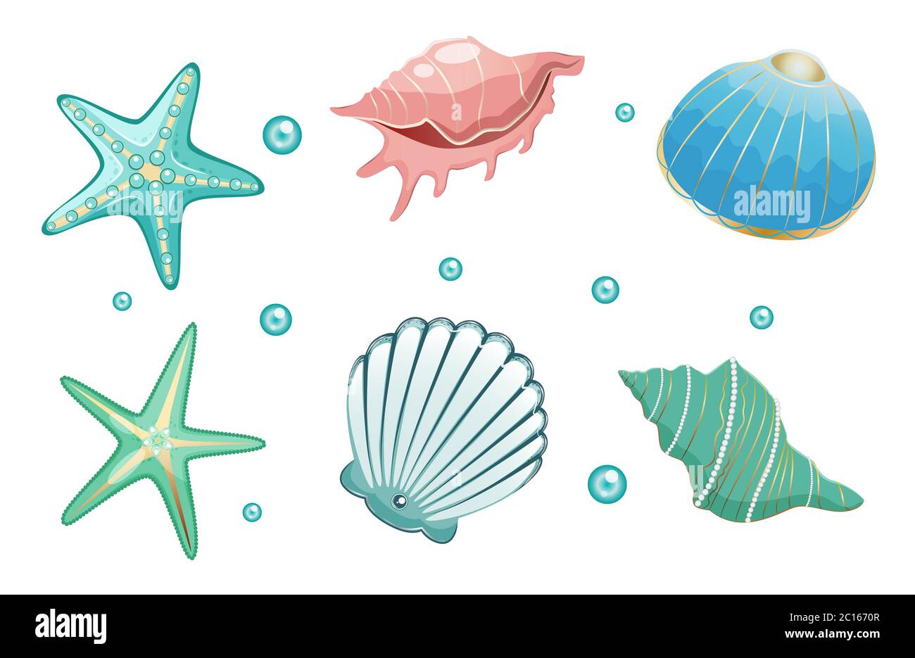 Sea shells collection stock vector illustration. Isolated on white ...