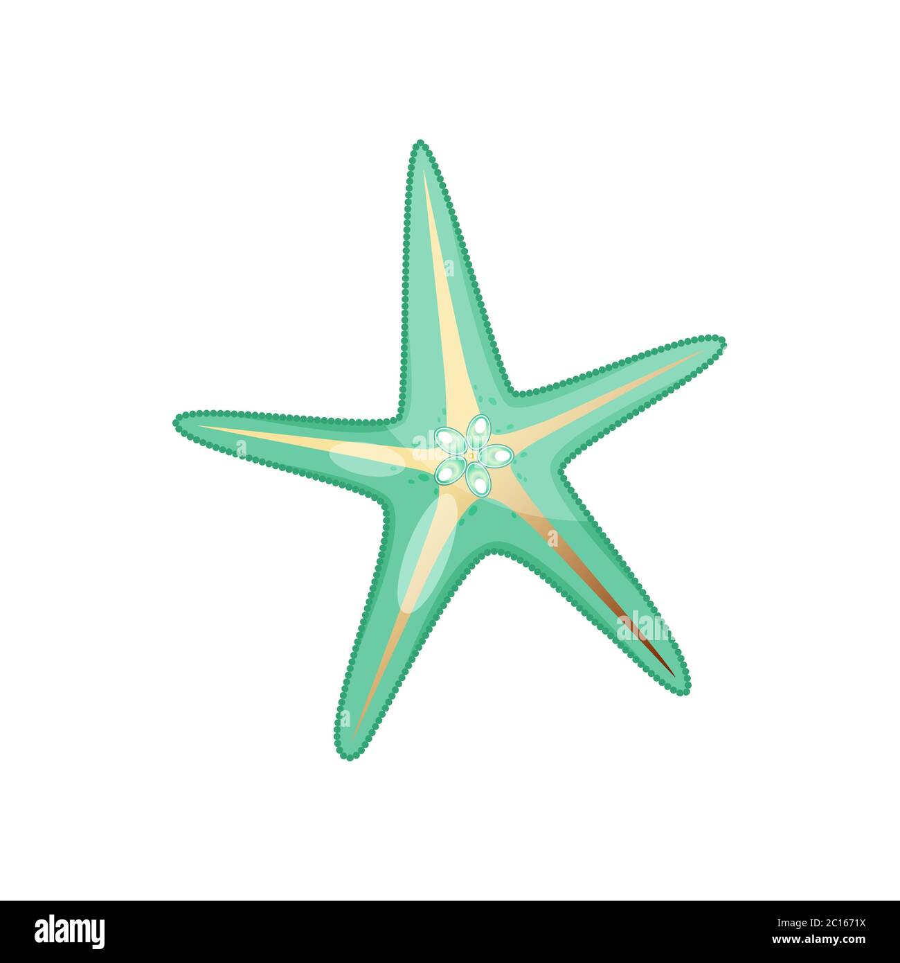 Green golden sea shell stock vector illustration isolated on white ...