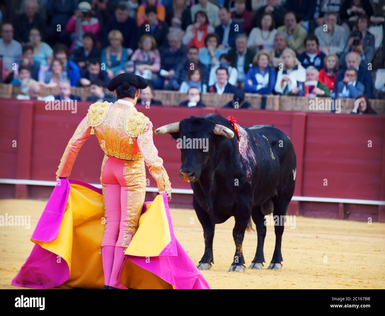 Bullfighter rodeo bull hi-res stock photography and images - Alamy
