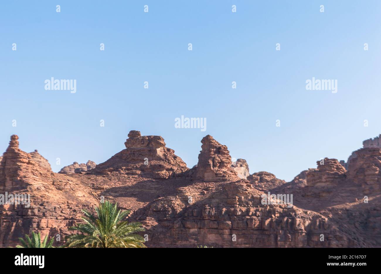 Display of various type of fish and deep sea life Stock Photo - Alamy