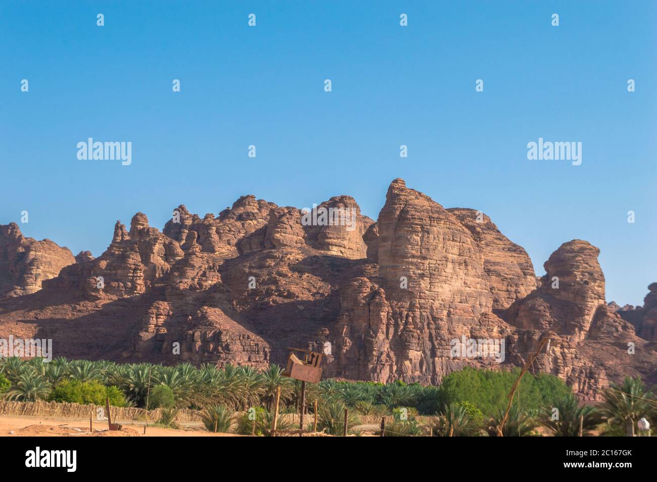 Display of various type of fish and deep sea life Stock Photo - Alamy