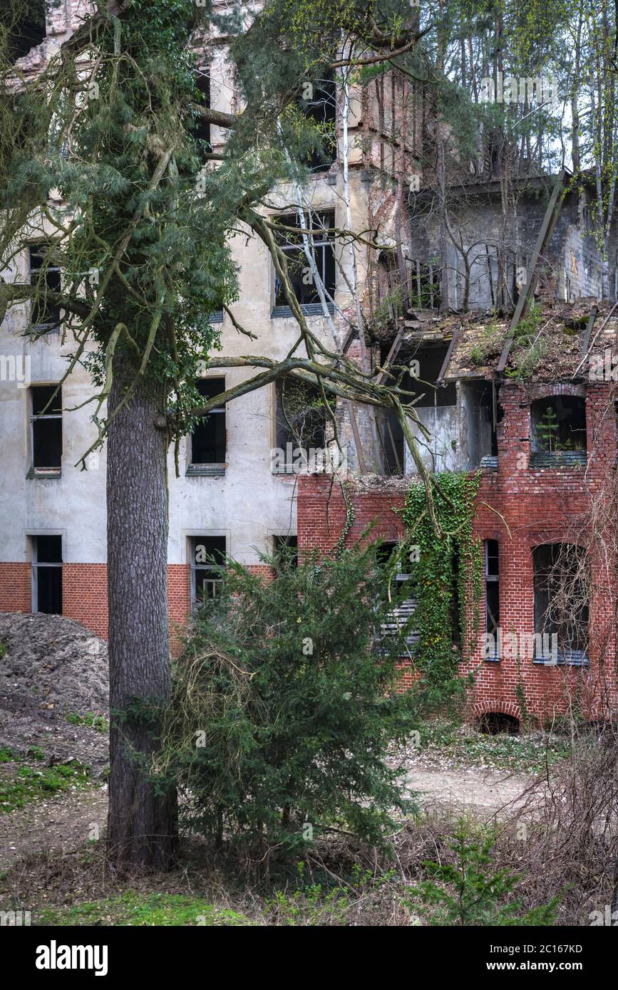 Ruin in the forest Stock Photo - Alamy