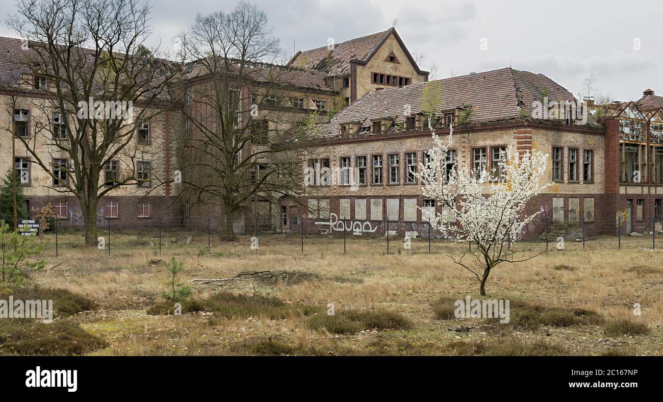 Ruin in the forest Stock Photo - Alamy
