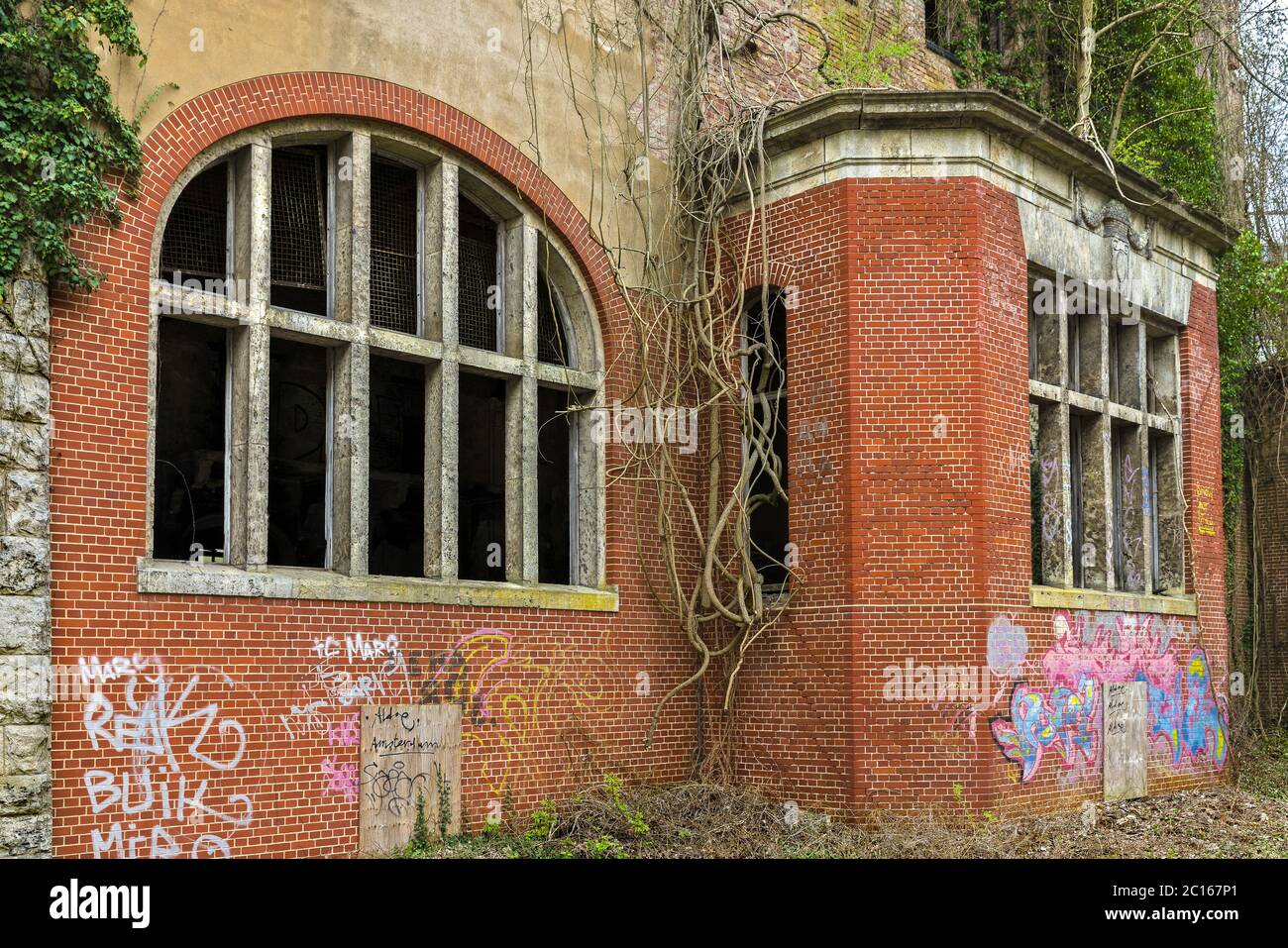 Ruin in the forest Stock Photo - Alamy