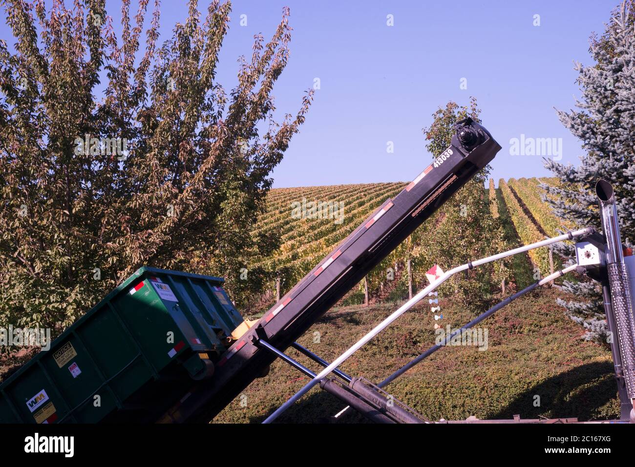Vineyard and Equipment Stock Photo - Alamy