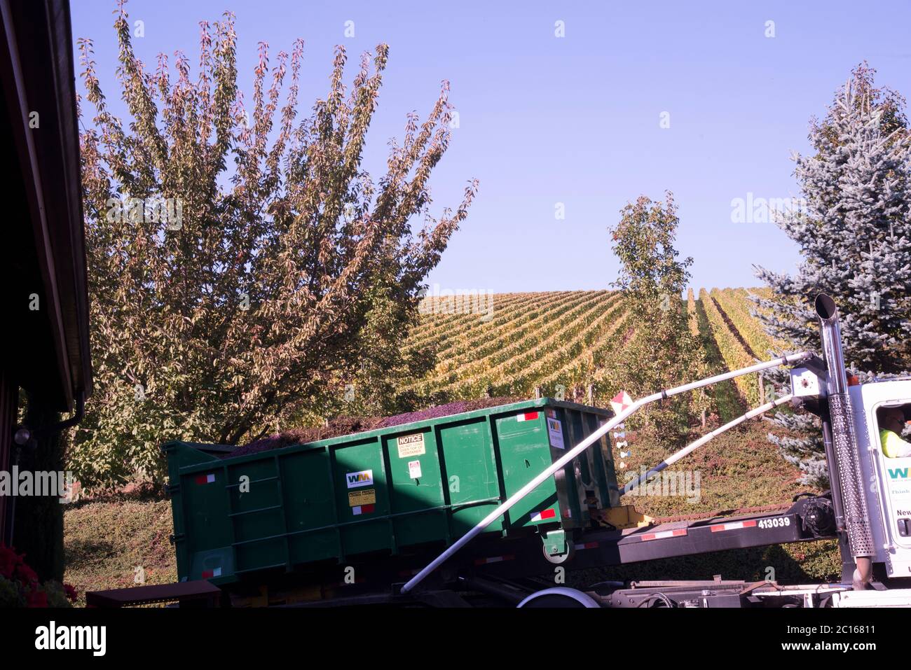 Vineyard and Equipment Stock Photo - Alamy