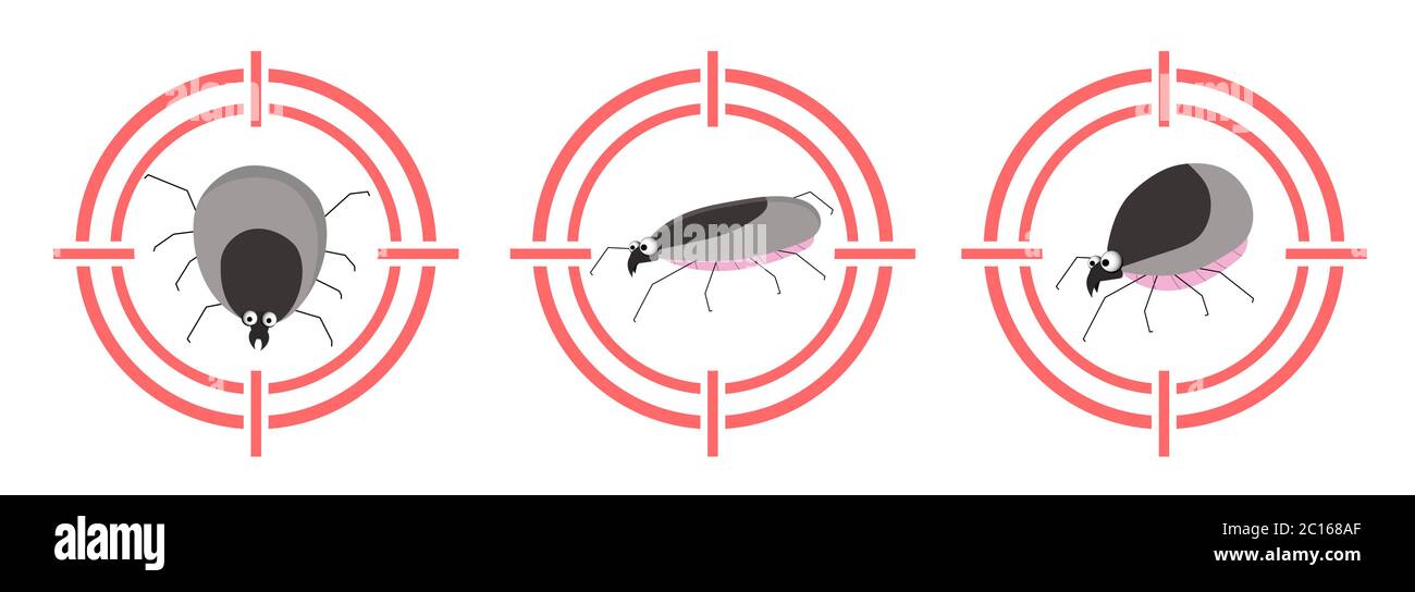 Tick parasite. Blood sucking insect. Insecticide. Peddlers of infection ...