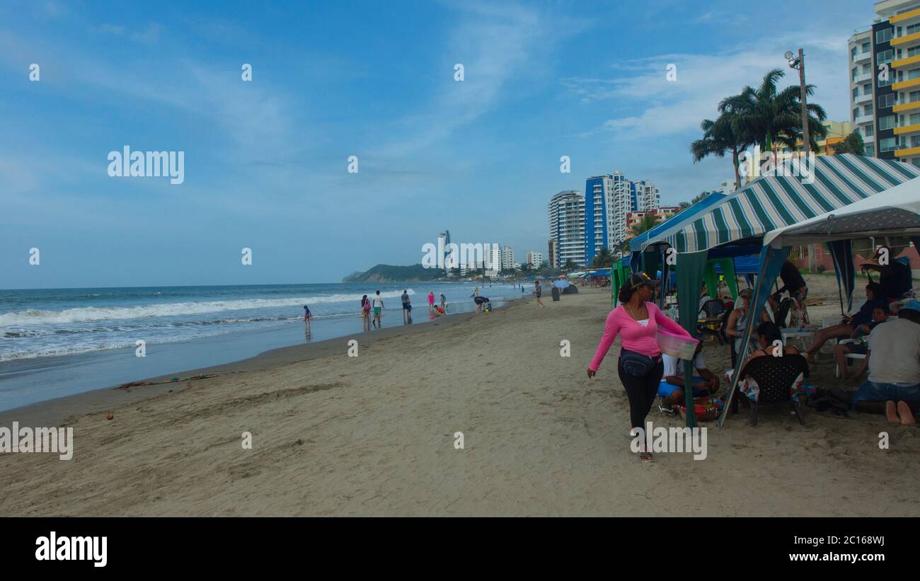 Walking palm ecuador hi-res stock photography and images - Alamy