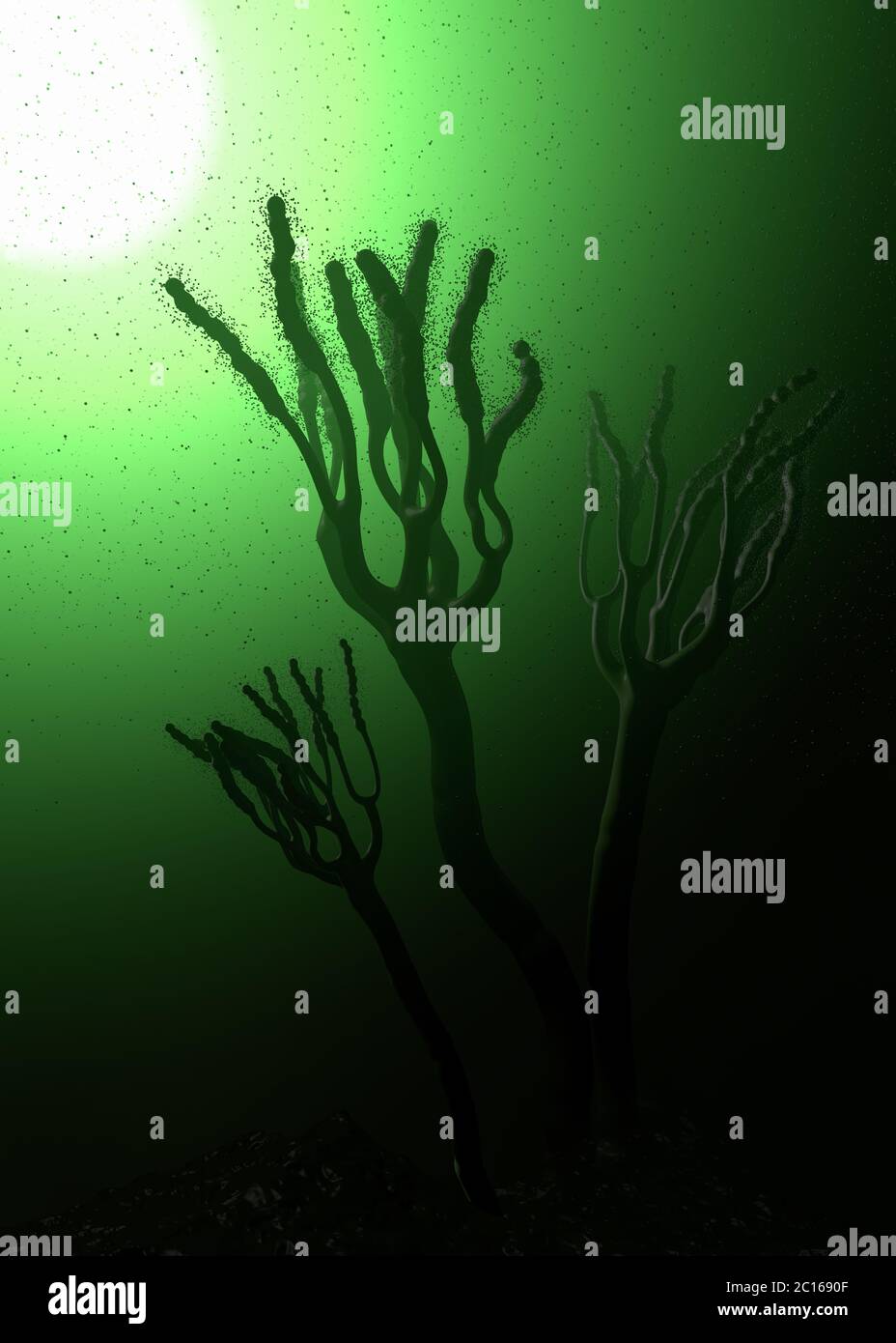 Microscopic magnification of growing molds or mold fungus and spores ...