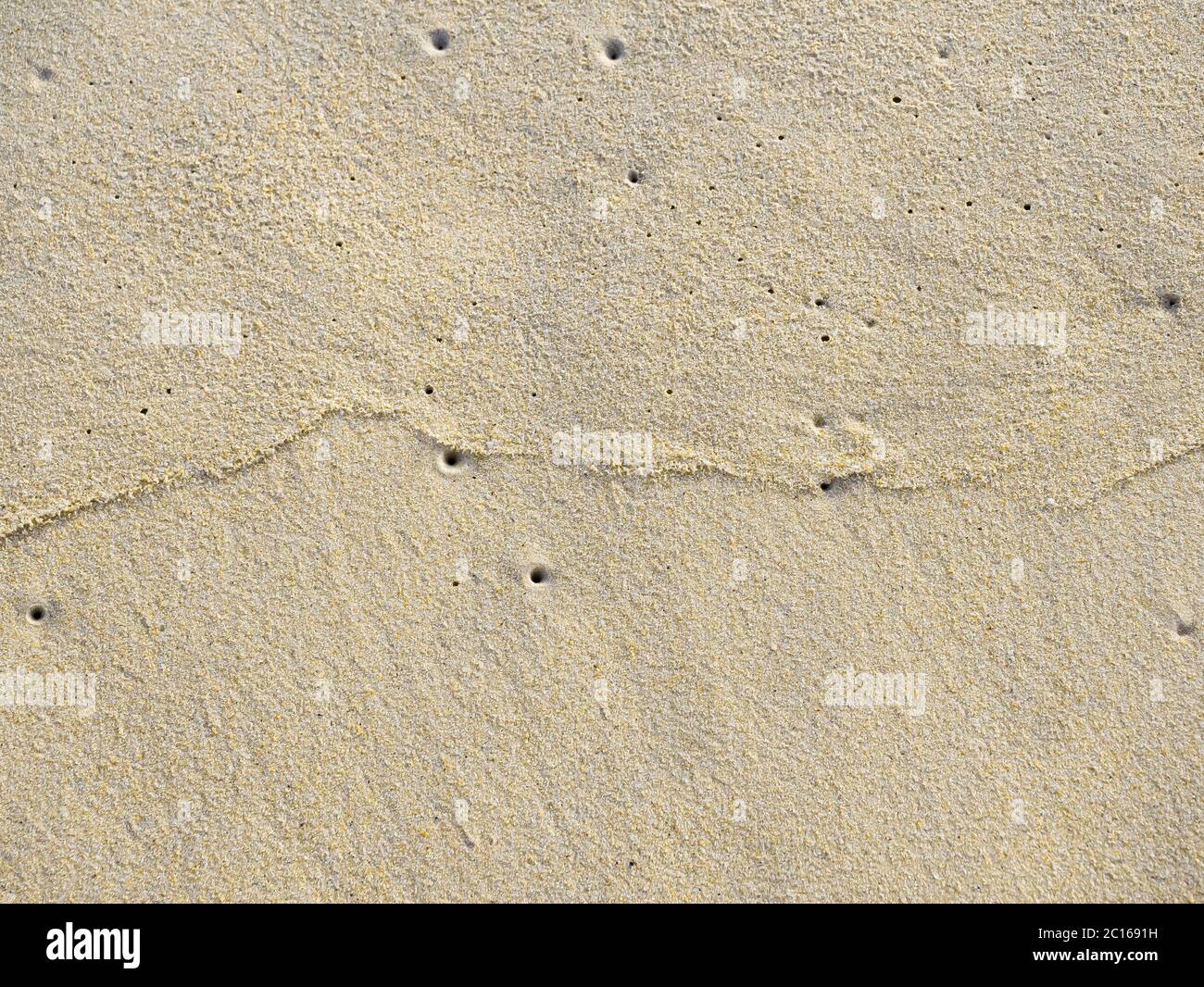 close up sand ground floor at the sea beach , background and textured ...