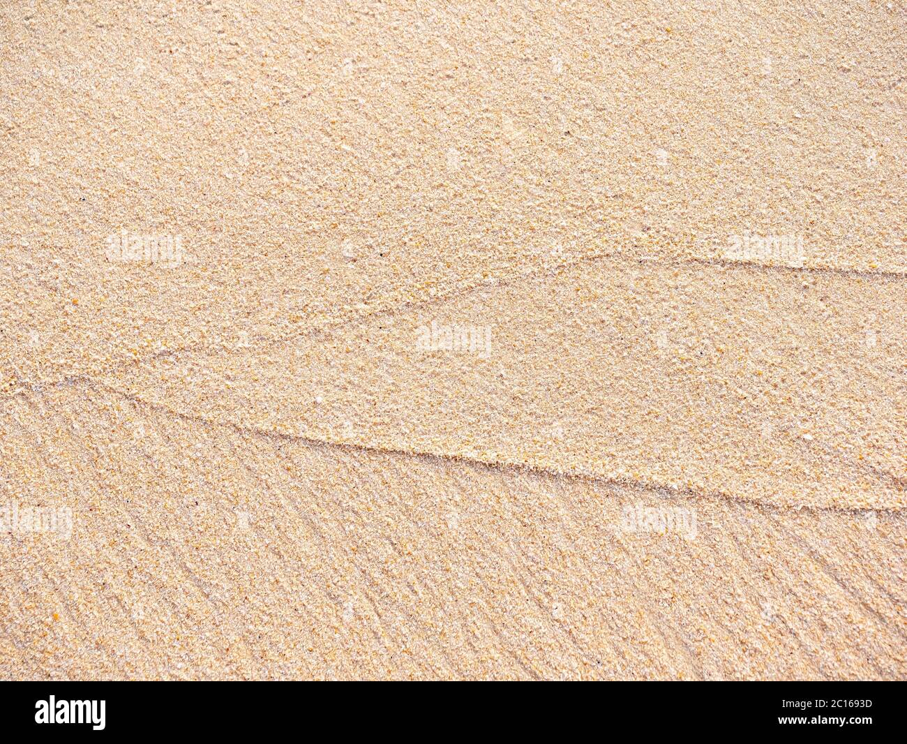 close up sand ground floor at the sea beach , background and textured ...
